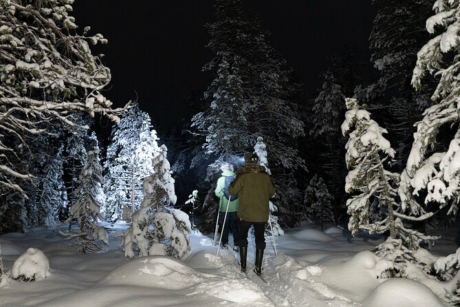 Evening Ski Trek to the Wilderness - Extra Small group - Logistics and Practical Considerations