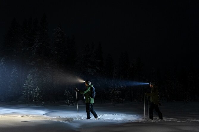 Evening Ski Trek to the Wilderness - Extra Small group - Who Would Love This Tour?