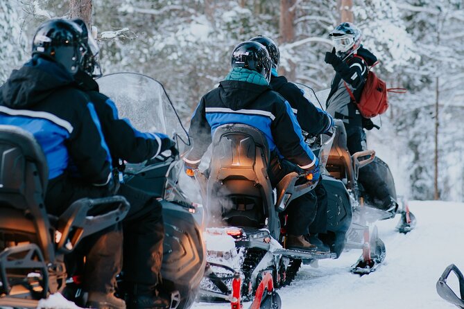 Evening Snowmobile Safari in Rovaniemi - Who Should Consider This Tour?