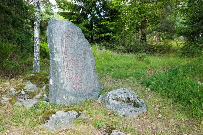 Evening Wildlife Safari From Stockholm - Discovering Ancient Viking Runes