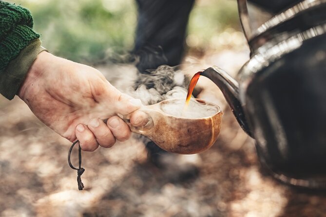 Evening Wildlife Safari Stockholm - Wildlife Sightings