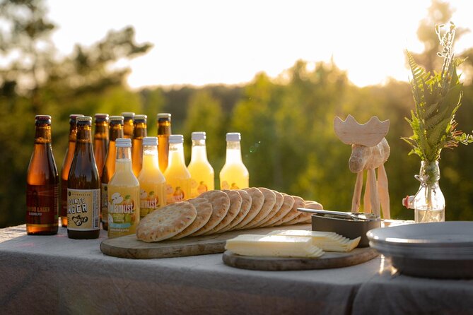 Evening Wildlife Safari Stockholm - Feedback and Testimonials