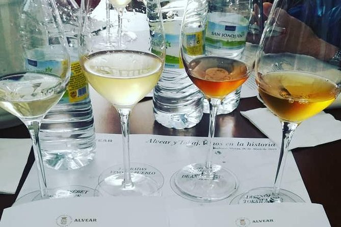 Evening Wine Tasting Córdoba - Details and Inclusions