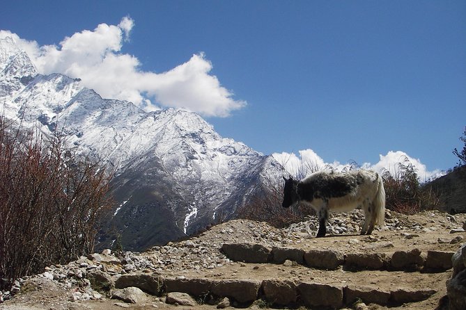 Everest Base Camp - Cho La Pass - Gokyo Trek - Final Thoughts: Who Should Consider This Trek?