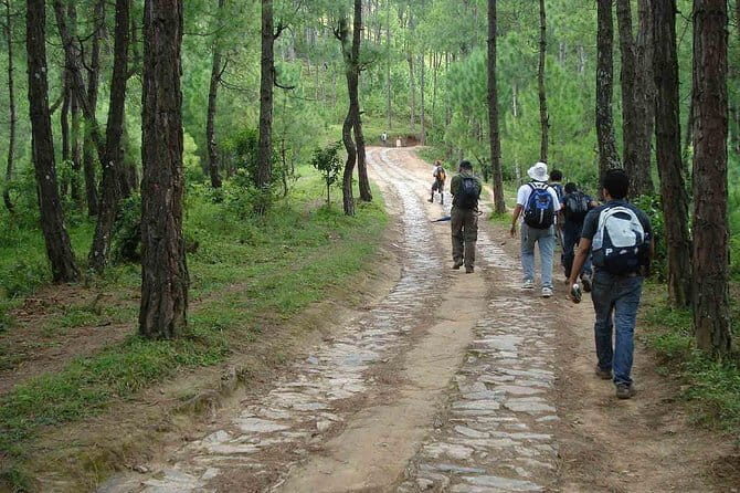 "Everest Base Camp Express Trek: Adventure in Less Time" - Final Thoughts