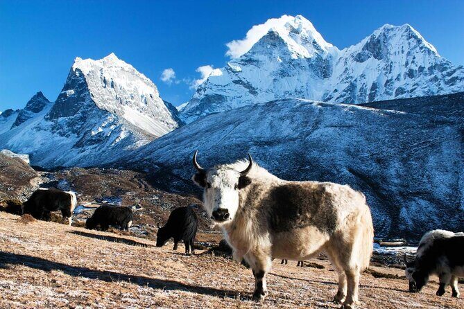 Everest Base Camp Helicopter Half-Day Tour with Multiple Landing - Key Points