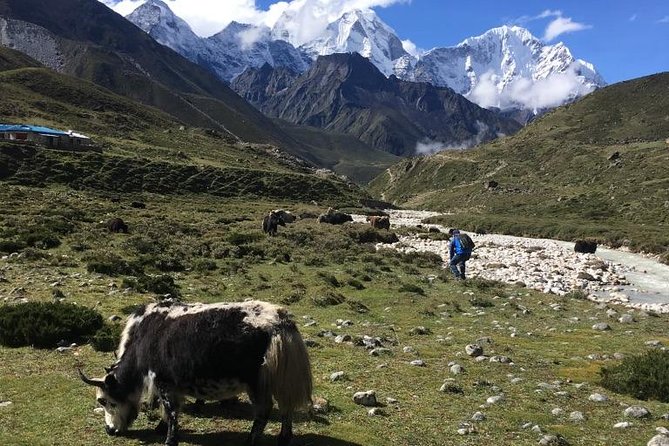 Everest Base Camp Helicopter Tour landing at Everest View Hotel - Practical Tips for Future Travelers