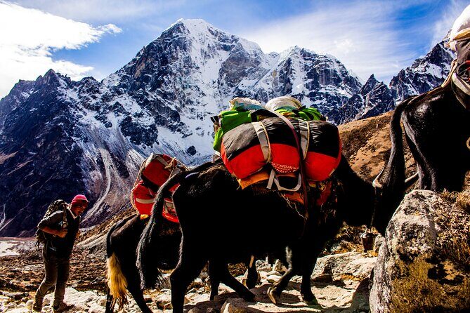 "Everest Base Camp Trek  12Day Guided Adventure in the Himalayas - FAQs