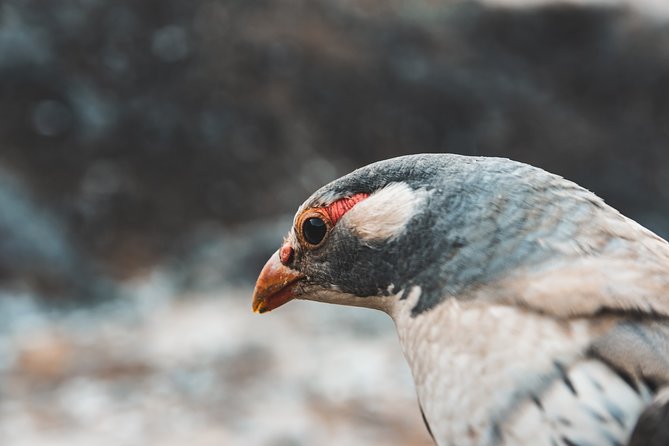 Everest Base Camp Trek - Final Thoughts