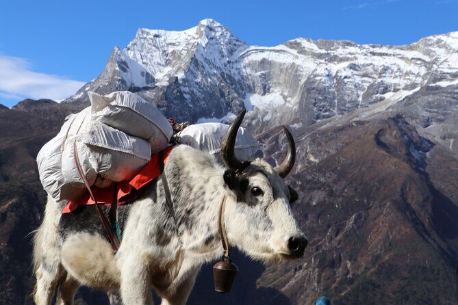 Everest Base Camp Trek 14 Days - The Sum Up: Is It Worth It?