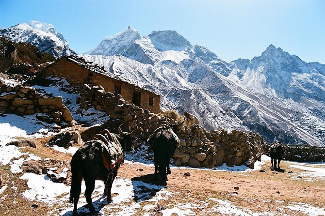 Everest Base Camp Trek 16 Days - FAQs