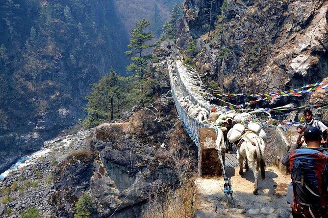 Everest Base Camp Trek - Authentic Experiences and Traveler Feedback