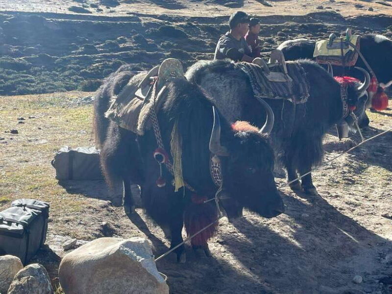 Everest Base Camp Trek - 6N/7D - Authentic Experiences & What You’ll Love