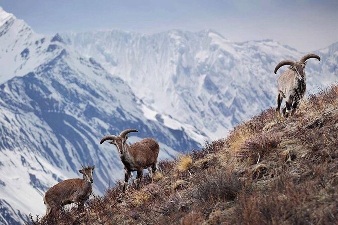 Everest Base Camp Trek with Kathmandu Valley Sightseeing Tour - Trekking through Sherpa Villages: A Cultural Feast