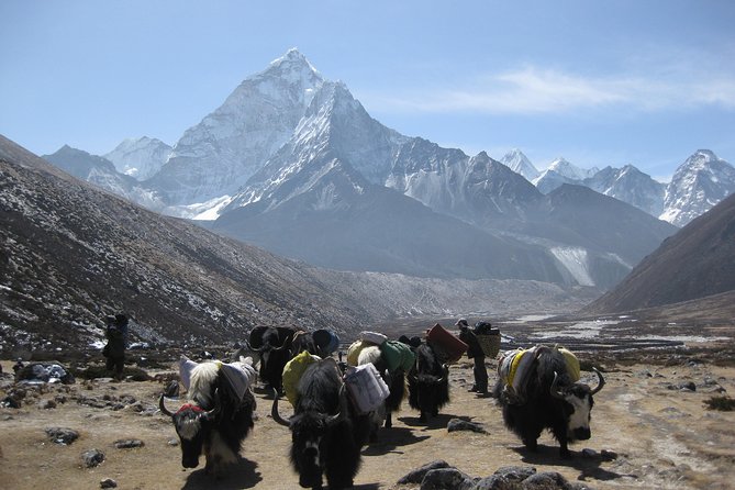 Everest Three (High) Passes Trekking - The Sum Up: Who Will Love the Everest Three Passes Trek?