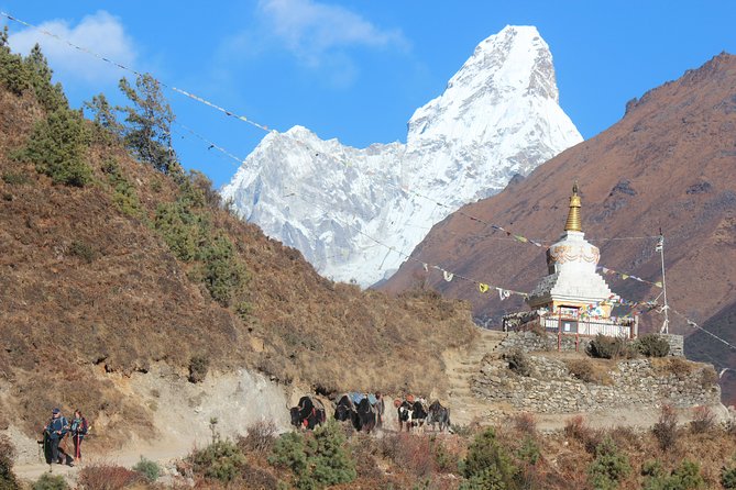 Everest Three Pass Trek - What Makes This Trek Stand Out?