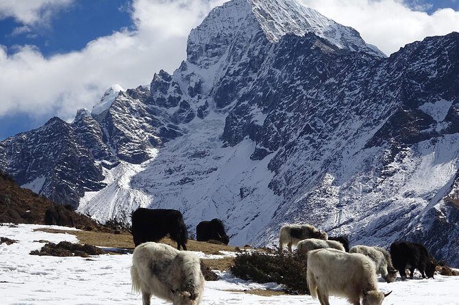 Everest View Short Trek -7 Days - Final Thoughts