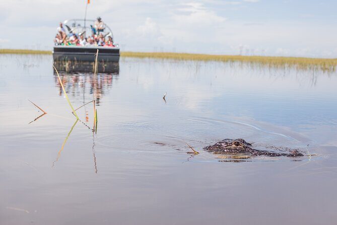 Everglades Admission Ticket with Airboat Ride and Wildlife Show - What the Tour Offers and What You Can Expect