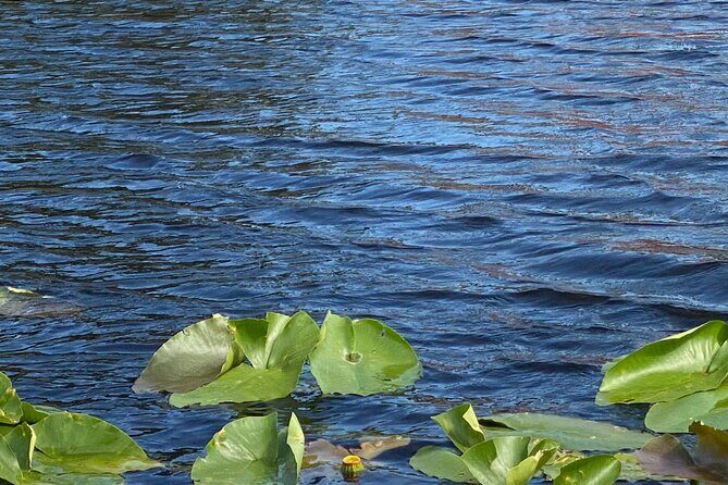Everglades Airboat Adventure with Roundtrip Bayside Transfer - Frequently Asked Questions