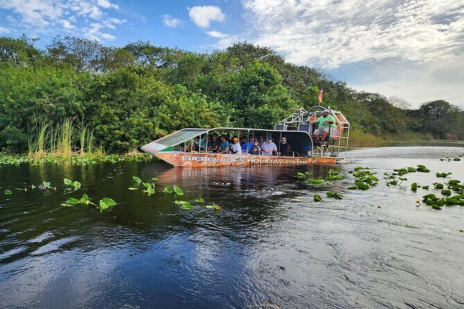 Everglades Alligator Airboat Tour with Bus transfer from Miami - The Sum Up: Who Will Love This Tour?