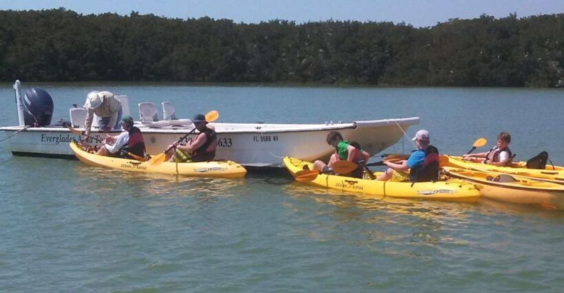 Everglades: Boat Assisted Kayak Eco Tour - Wildlife and Nature: What You Might See