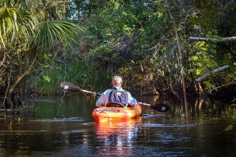Everglades City: Guided Kayaking Tour and Airboat Ride - An In-Depth Look at the Everglades Guided Tour