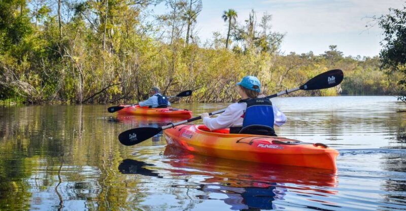 Everglades City: Guided Kayaking Tour of the Wetlands - Everglades City: Guided Kayaking Tour of the Wetlands – A Detailed Review