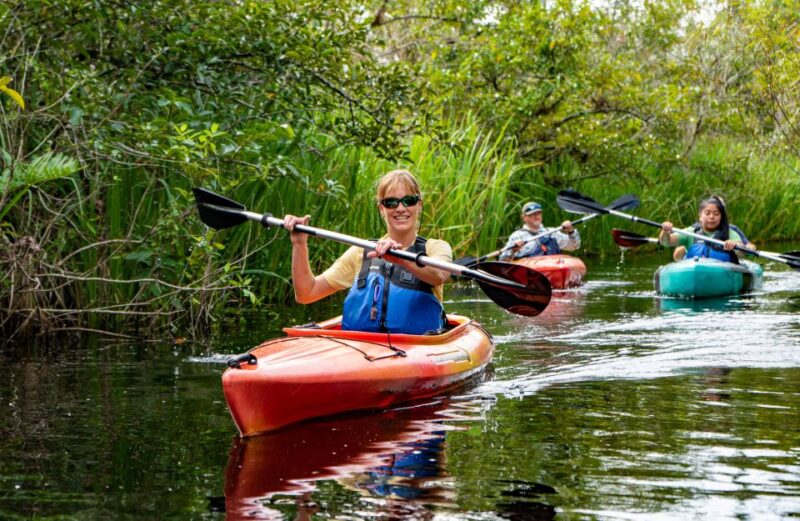 Everglades City: Guided Kayaking Tour of the Wetlands - The Experience’s Highlights According to Visitors