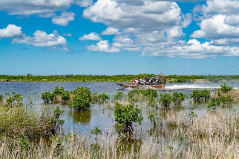 Everglades City: Guided Kayaking Tour with and Airboat Ride - What We Like and What to Consider
