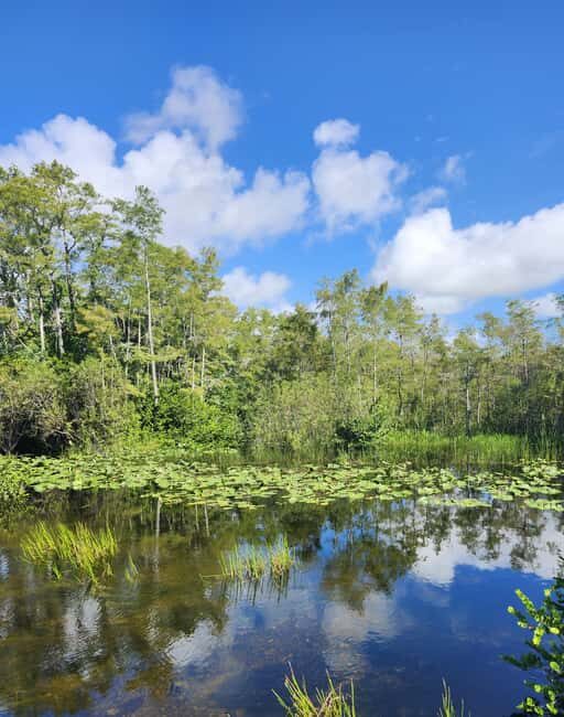 Everglades Eco Airboat Tour small group & top transportation - Exploring the Authentic Everglades: An Honest Review