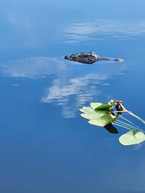 Everglades Eco Airboat Tour small group & top transportation - The Sum Up: Why This Tour is a Smart Choice