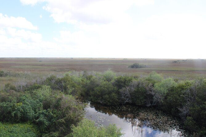 Everglades Eco Airboat Tour with Private Luxury Transportation - Who Should Consider This Tour?
