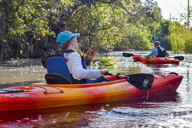 Everglades Guided Kayak Tour - Traveler Experiences and Reviews