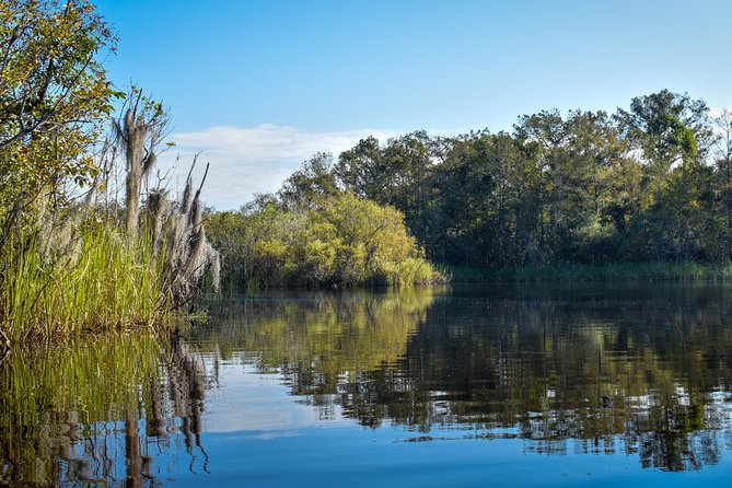 Everglades Guided Kayak Tour - Guides and Safety