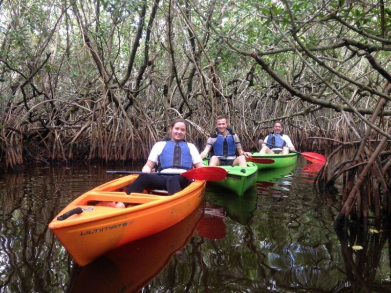 Everglades Kayak Safari Adventure Through Mangrove Tunnels - Practical Details and Value