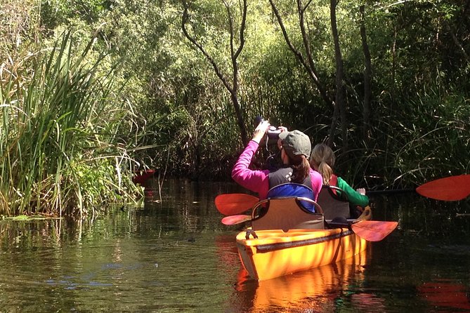 Everglades Kayak Safari Adventure Through Mangrove Tunnels - Wildlife Spotting on the Kayak Tour
