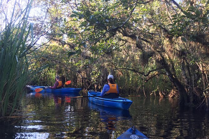 Everglades Kayak Safari Adventure Through Mangrove Tunnels - Learning About Everglades Conservation