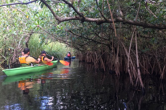 Everglades Kayak Safari Adventure Through Mangrove Tunnels - Meeting Point and Pickup Information