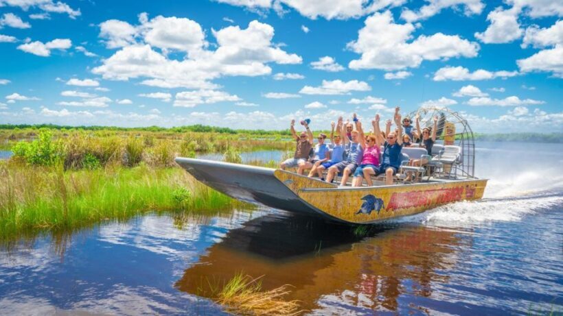 Everglades: Mangrove, Grassland Airboat Tours, & Boardwalk - The Experience in Detail