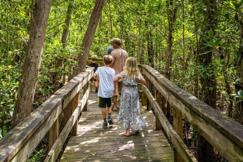 Everglades: Mangrove, Grassland Airboat Tours, & Boardwalk - Who Should Consider This Tour?