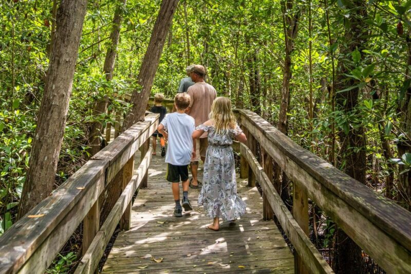 Everglades: Mangrove, Grassland Airboat Tours, & Boardwalk - Deep Dive Into the Experience