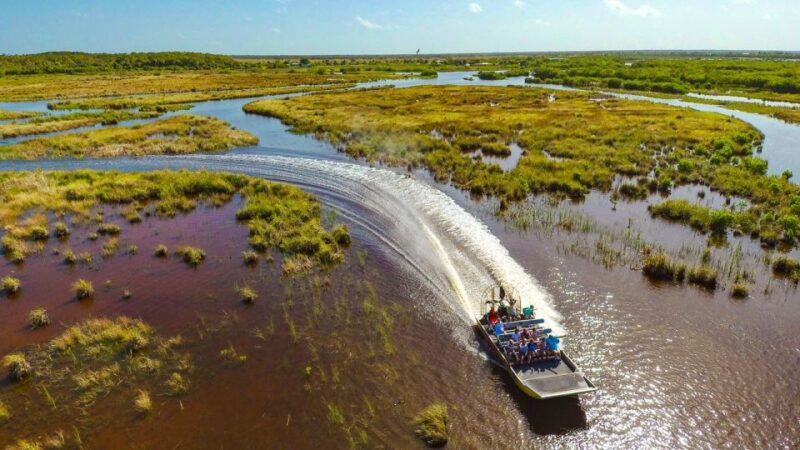 Everglades: Mangrove, Grassland Airboat Tours, & Boardwalk - The Sum Up