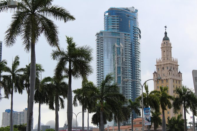 Everglades & Miami City Tour With Experienced Guide in Small Group - Customer Feedback and Recommendations