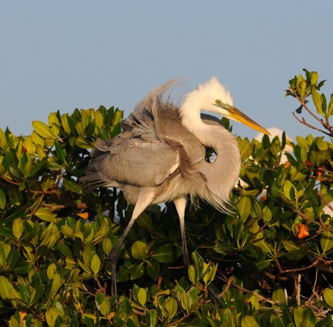 Everglades National Park 3-Hour Kayak Eco Tour - The Sum Up: Is It Worth It?