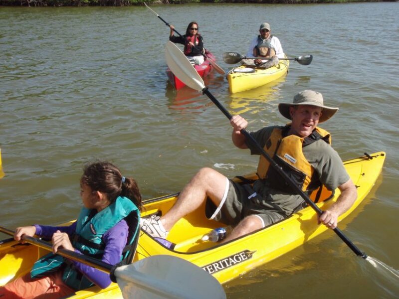 Everglades National Park 3-Hour Kayak Eco Tour - Who Should Consider This Tour?