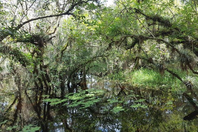 Everglades National Park Biologist Led Adventure: Cruise, Hike + Airboat - Authentic Encounters That Matter