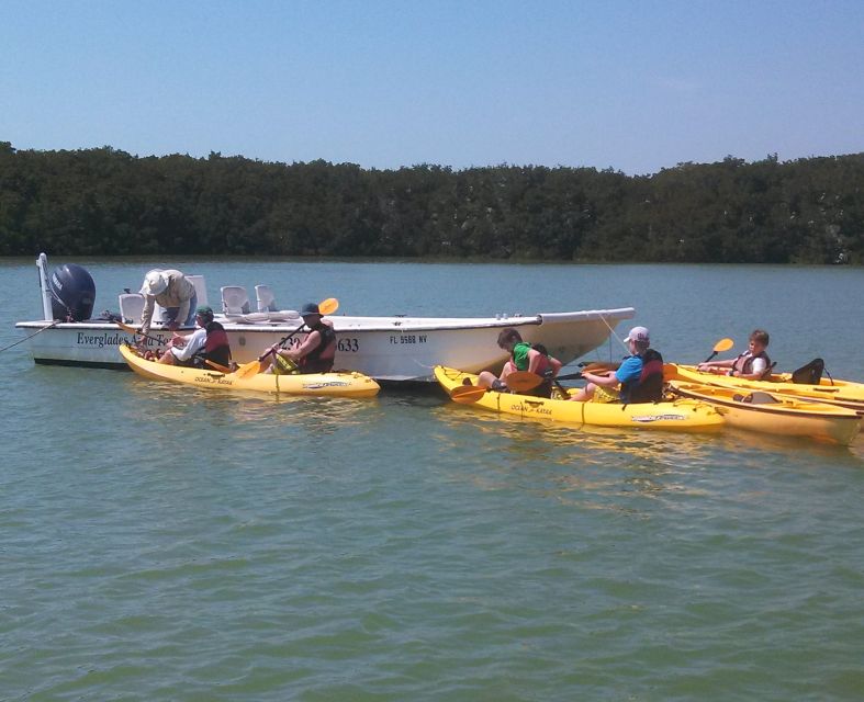 Everglades National Park: Boat Assisted Kayak Eco Tour - Why This Tour Is Worth Considering