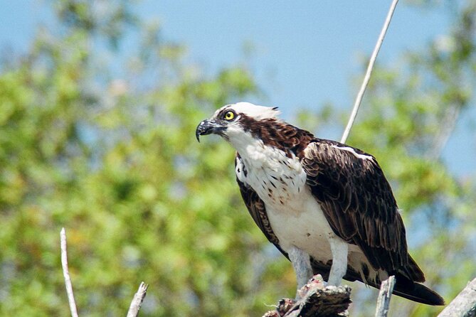 Everglades National Park Boat Tour - Meeting Point and Duration