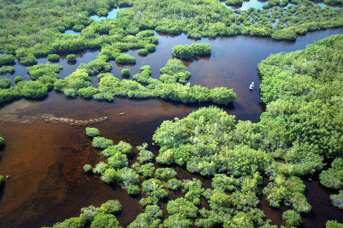 Everglades National Park Boat Tour - Accessibility Features