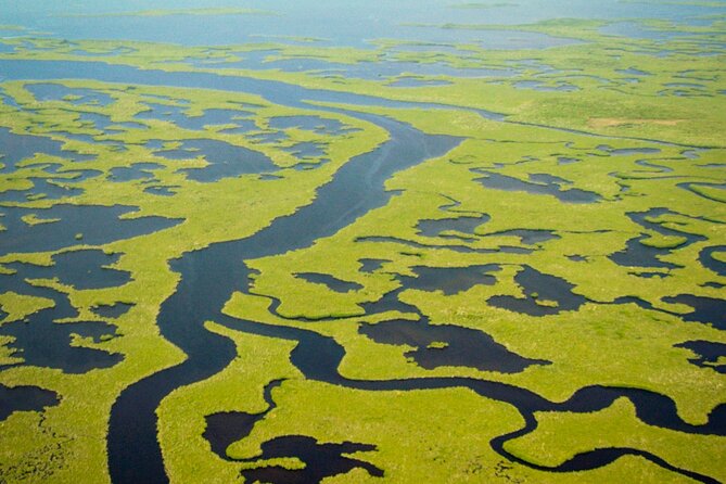 Everglades National Park Boat Tour - Wildlife and Scenic Highlights